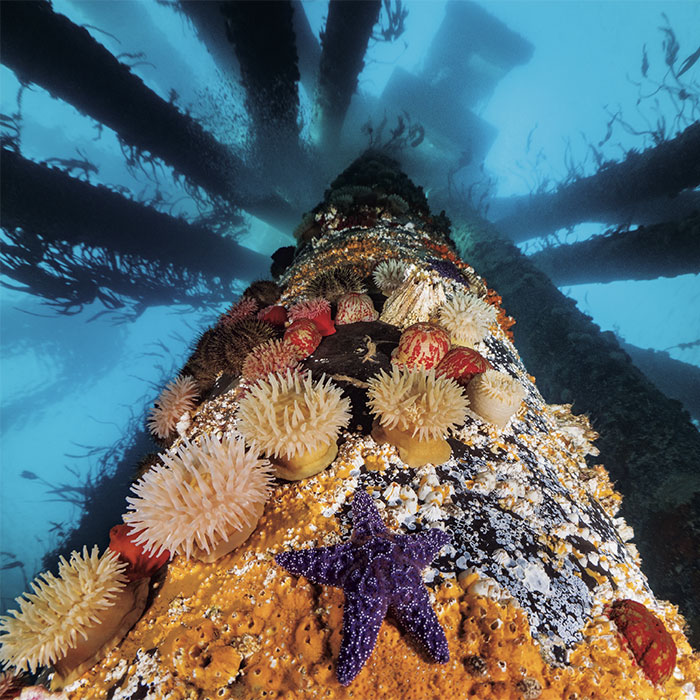 Waterworld - Maxwel Hohn - ZOOM Magazine | Sunshine Coast BC
